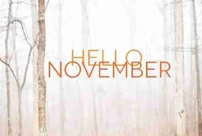 Ada Apa di Bulan November? Berikut Peristiwa Penting di Bulan Ini ...