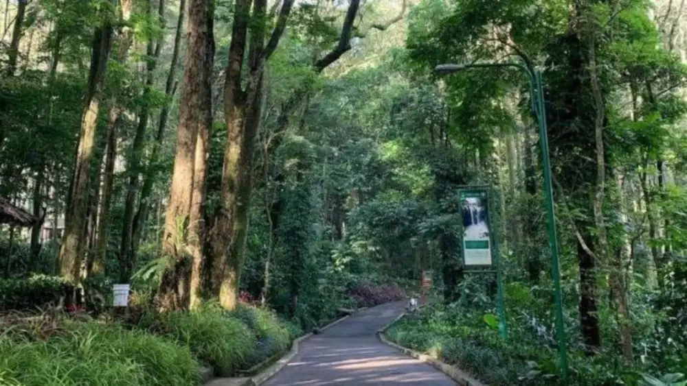 Taman Hutan Raya Ir Djuanda Bandung Archives - MEDIAJABAR.COM
