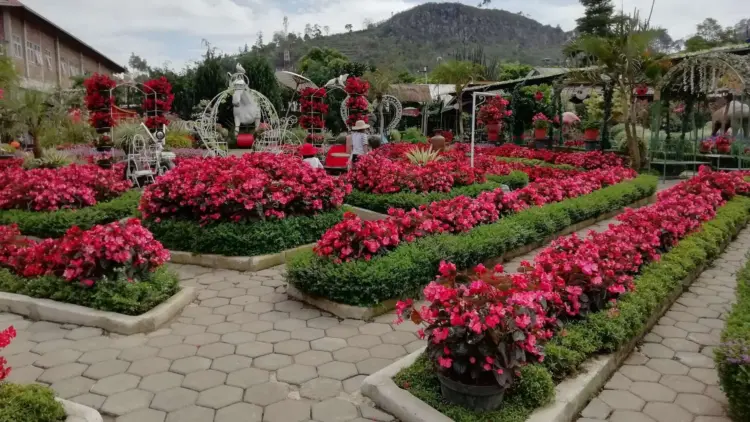 Ini Pesona Taman Bunga Bandung Instagramable 2025 yang Lagi Ramai ...